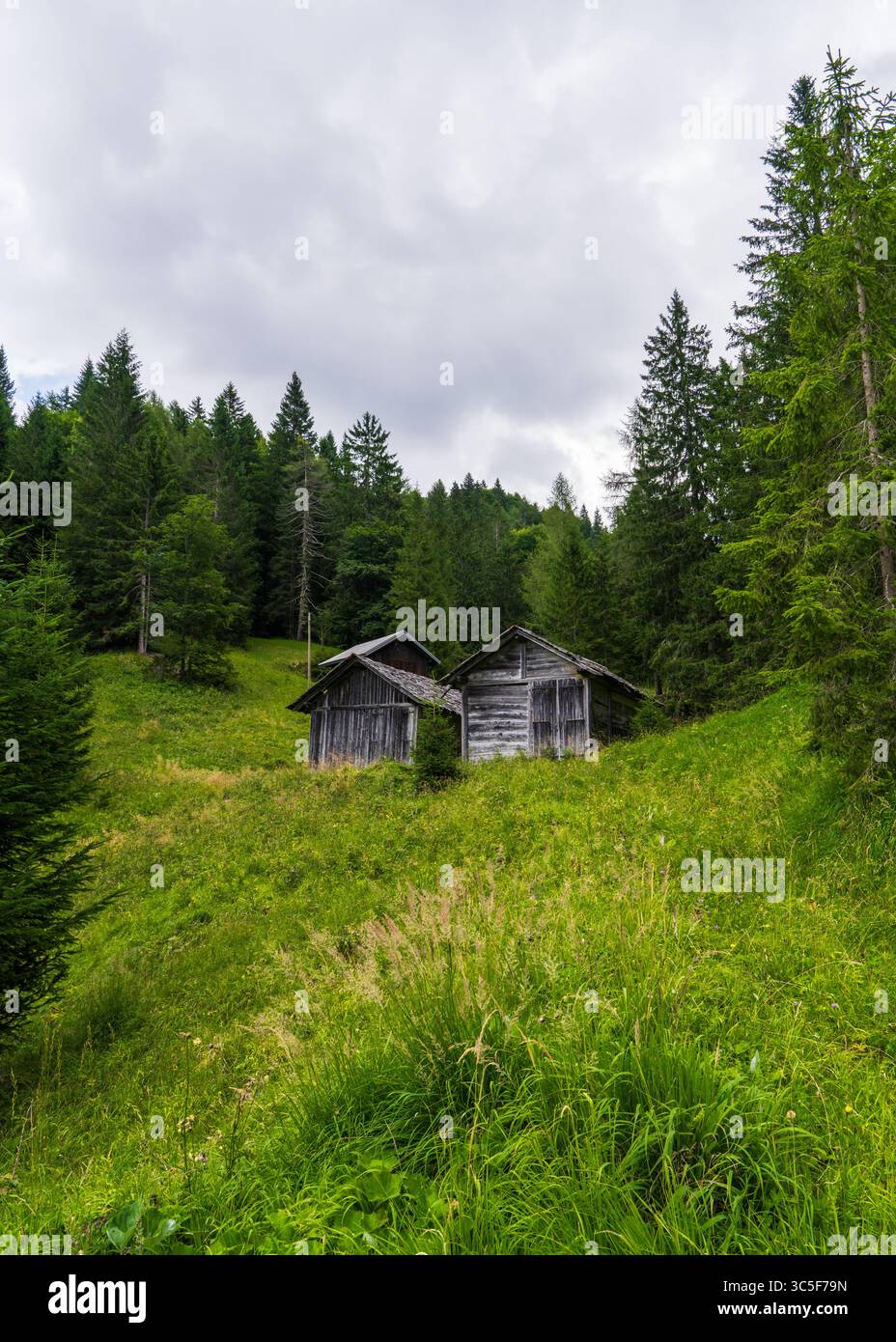 Scenic view of traditional old wooden cabins nestled among evergreen ...