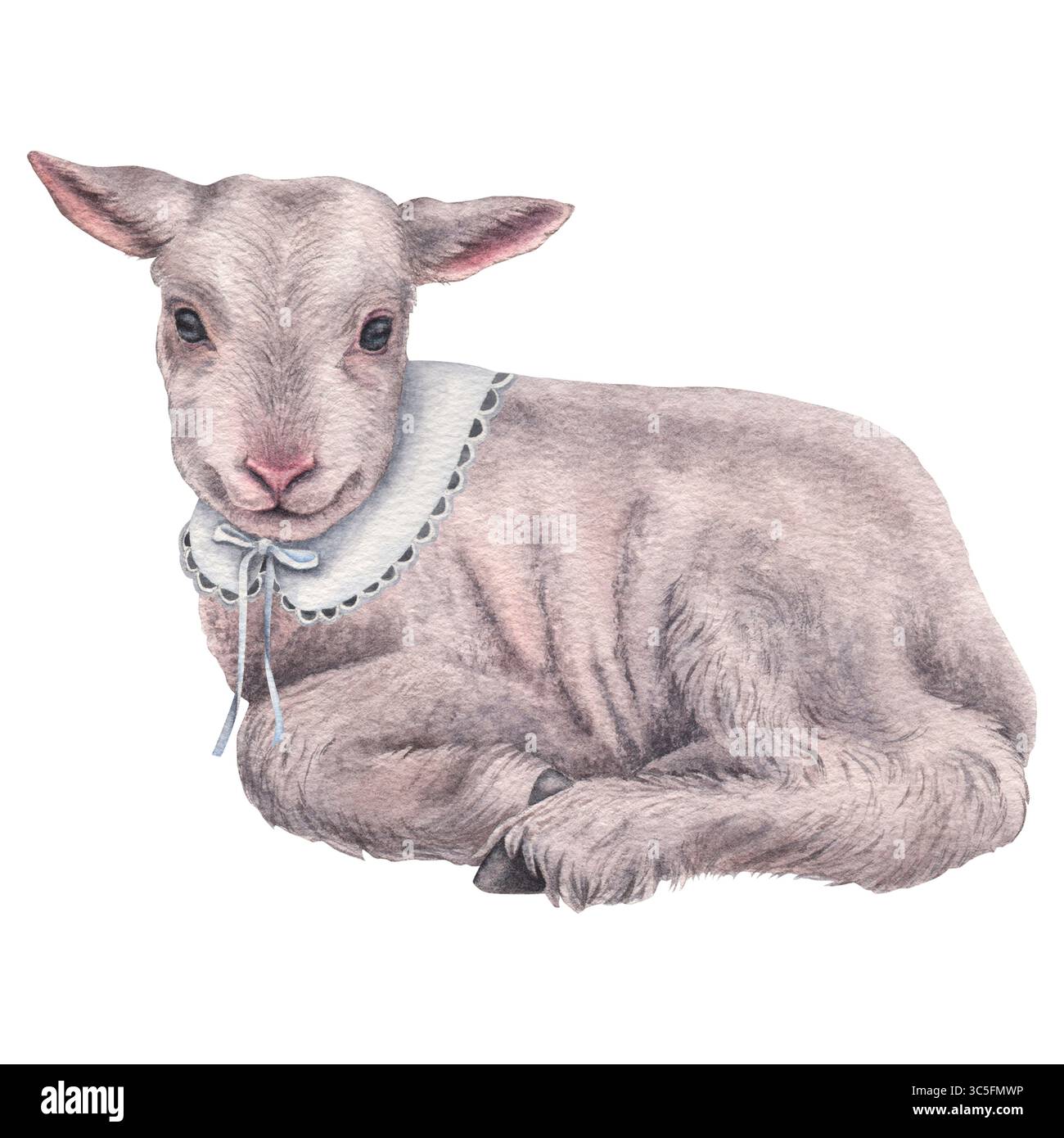 Grazing lamb small lamb Cut Out Stock Images & Pictures - Alamy