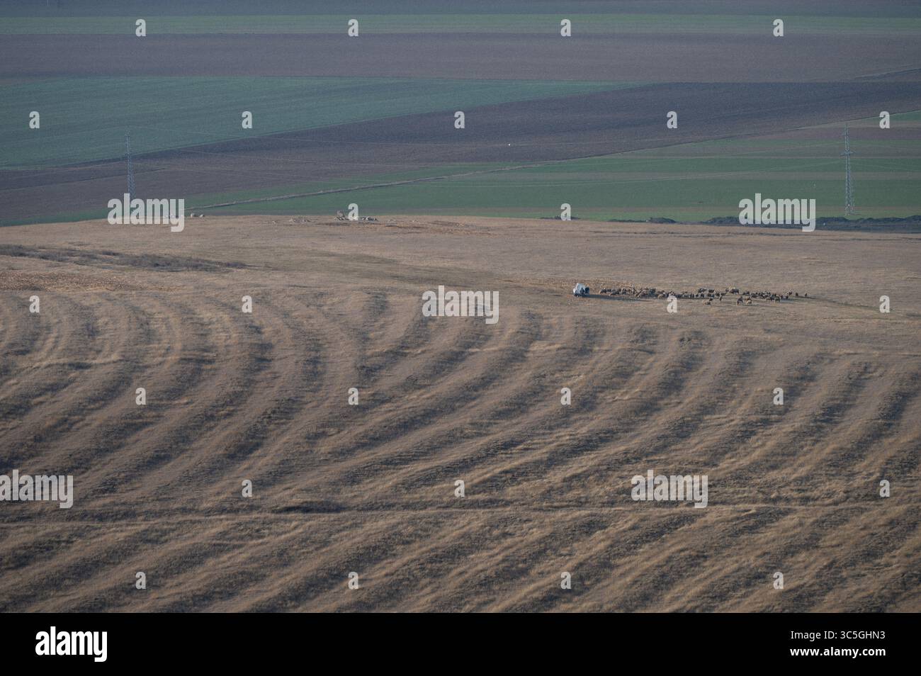 Patterned farmland with circular plow lines and soft afternoon light ...