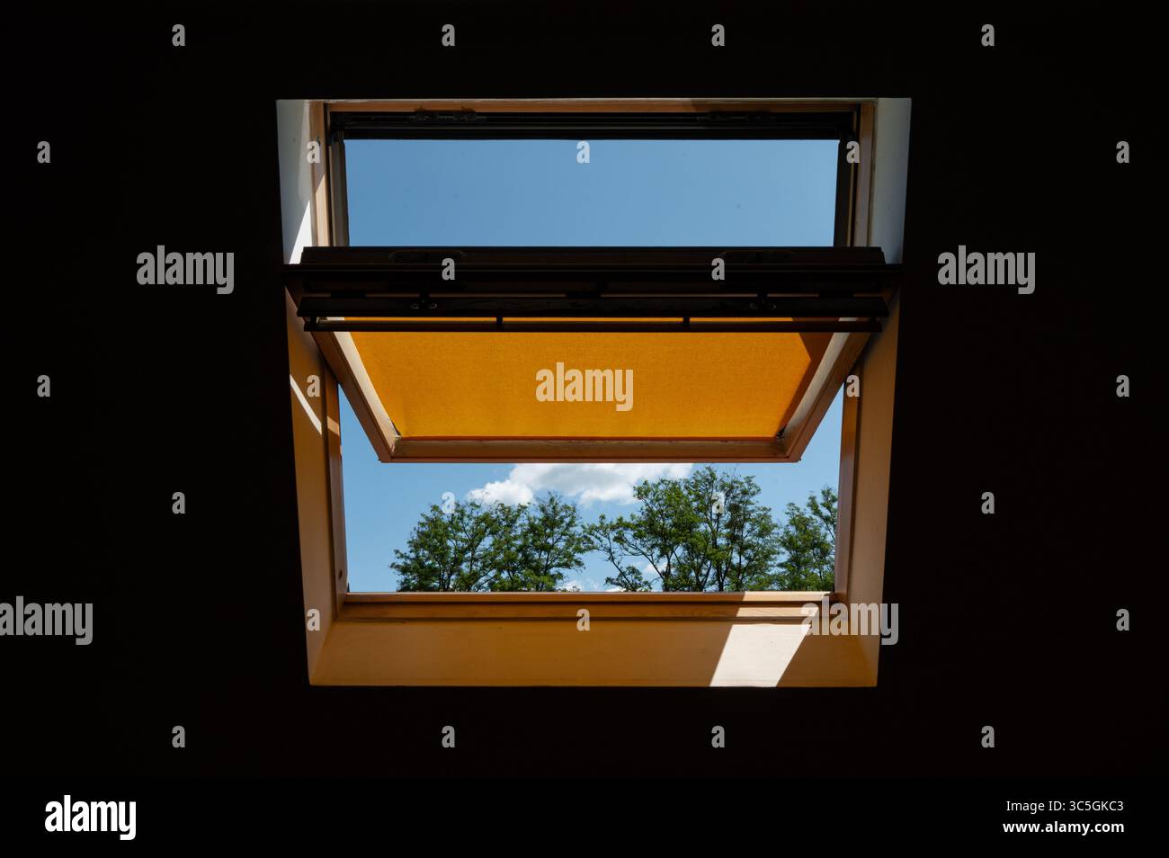 Modern roof window opened to reveal clear blue sky and treetops Stock ...