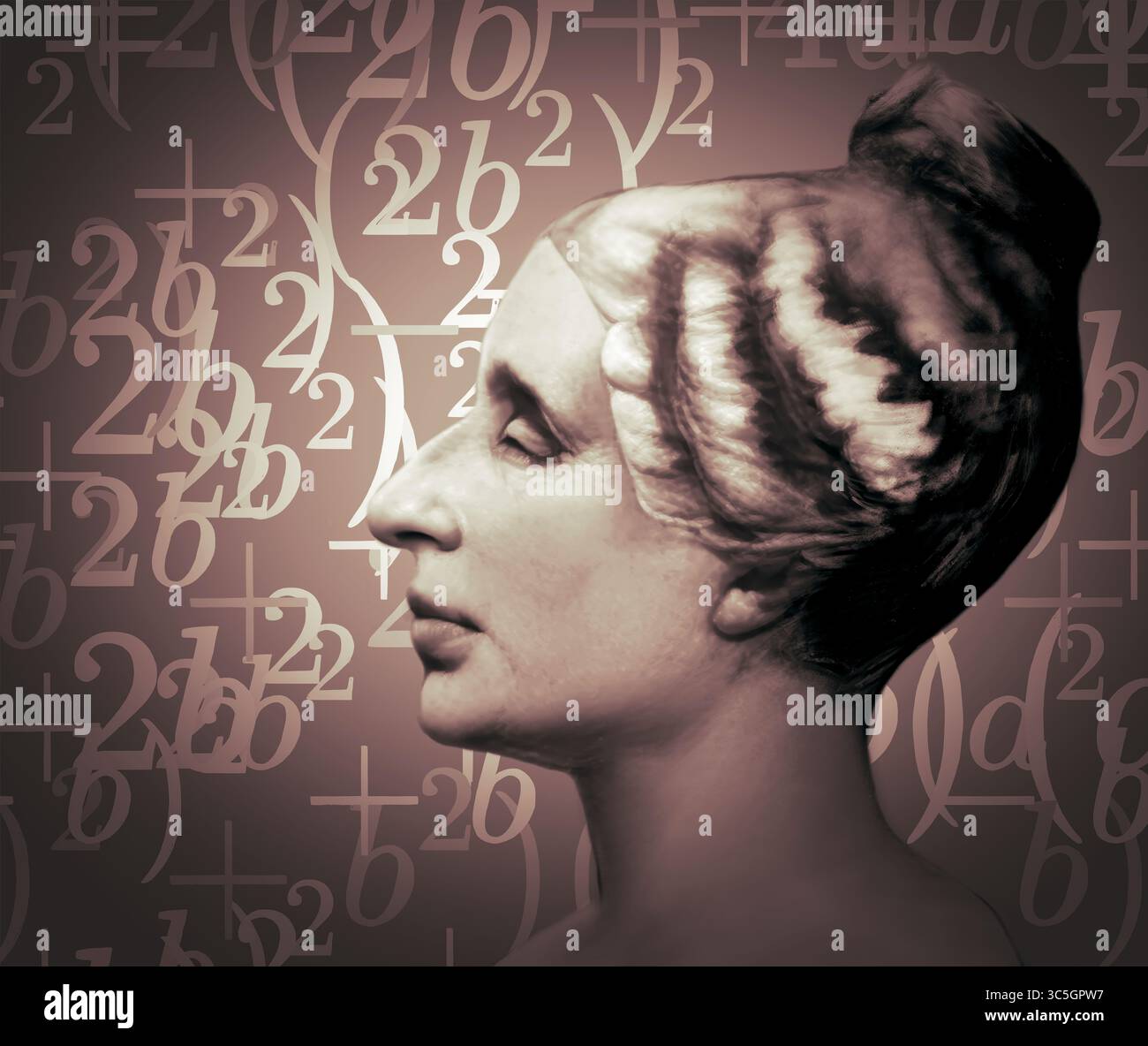 Bust of Marie-Sophie Germain, 1776 –1831, French mathematician ...