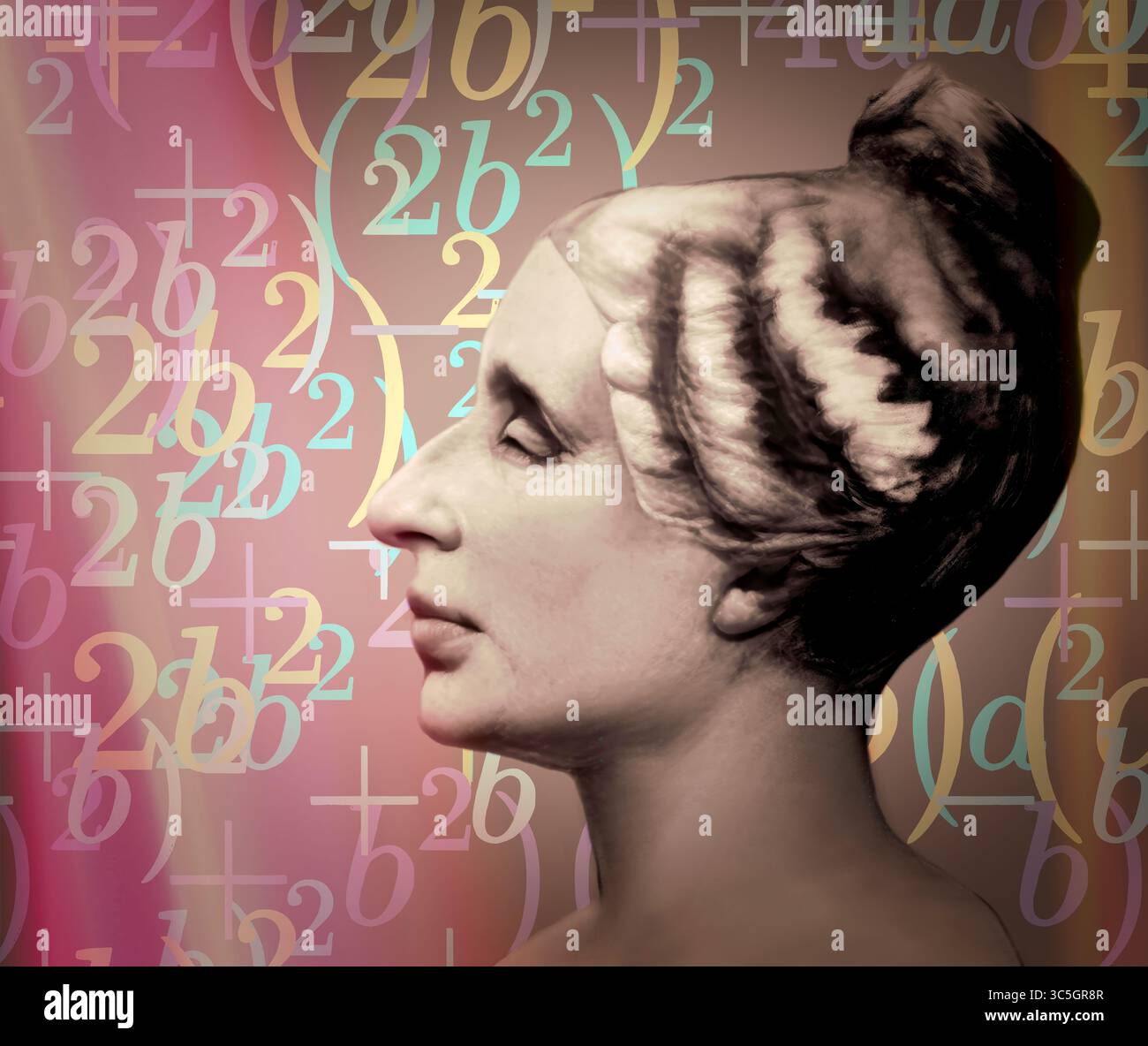 Bust of Marie-Sophie Germain, 1776 –1831, French mathematician ...