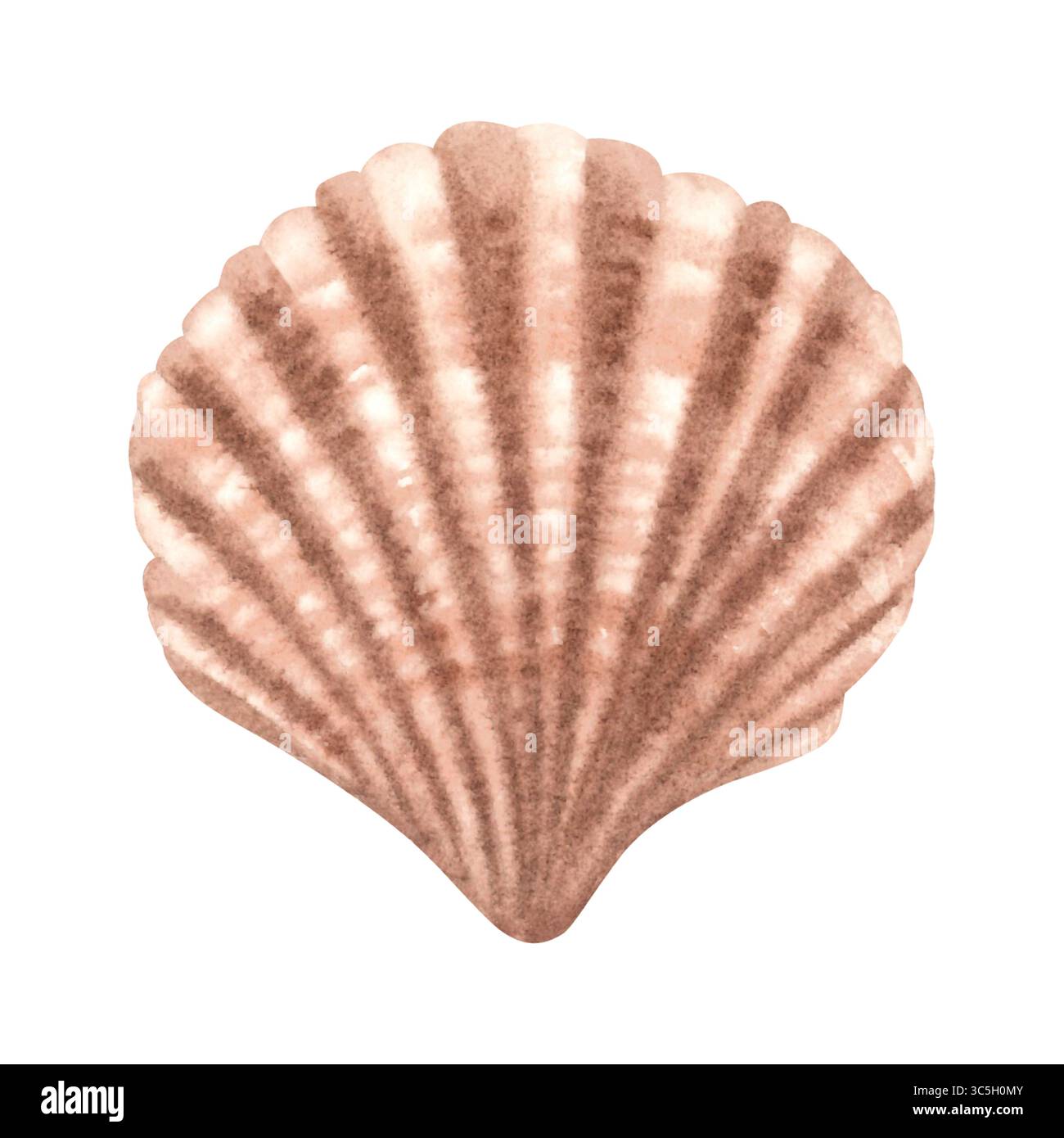 Watercolor scallop in pastel color. Hand drawn illustration of marine ...