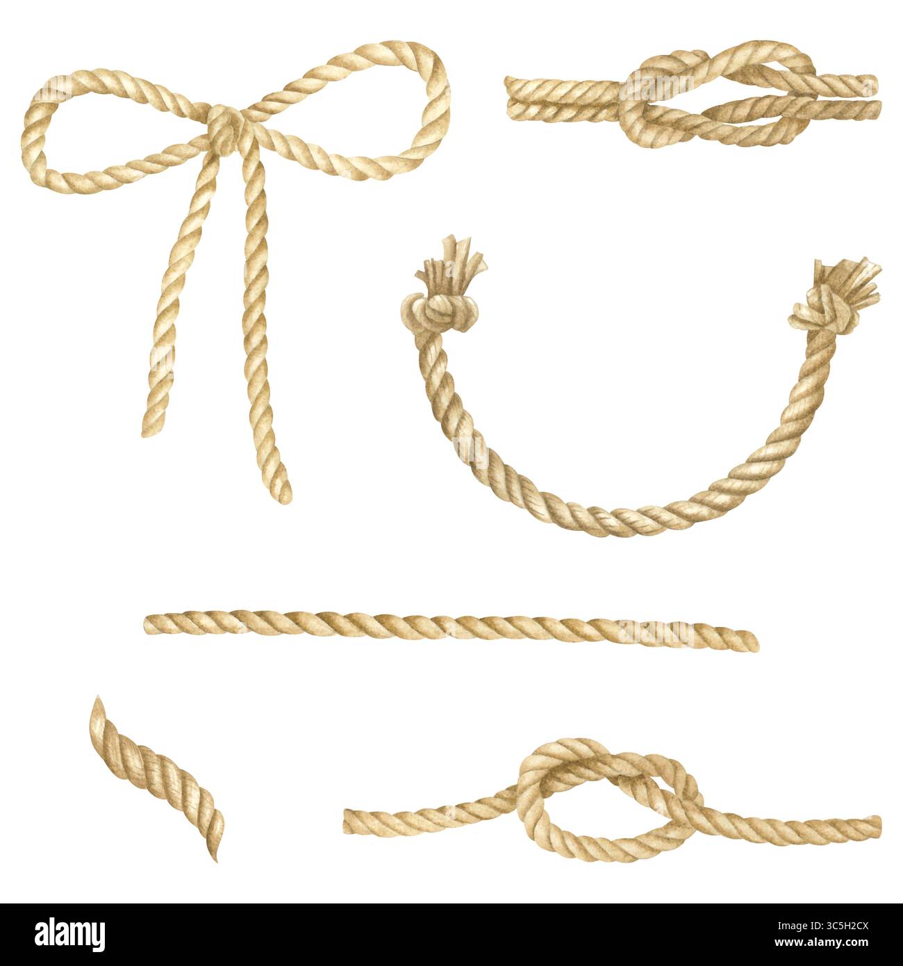 Various ship ropes with knots and bow. Hand drawn watercolor ...