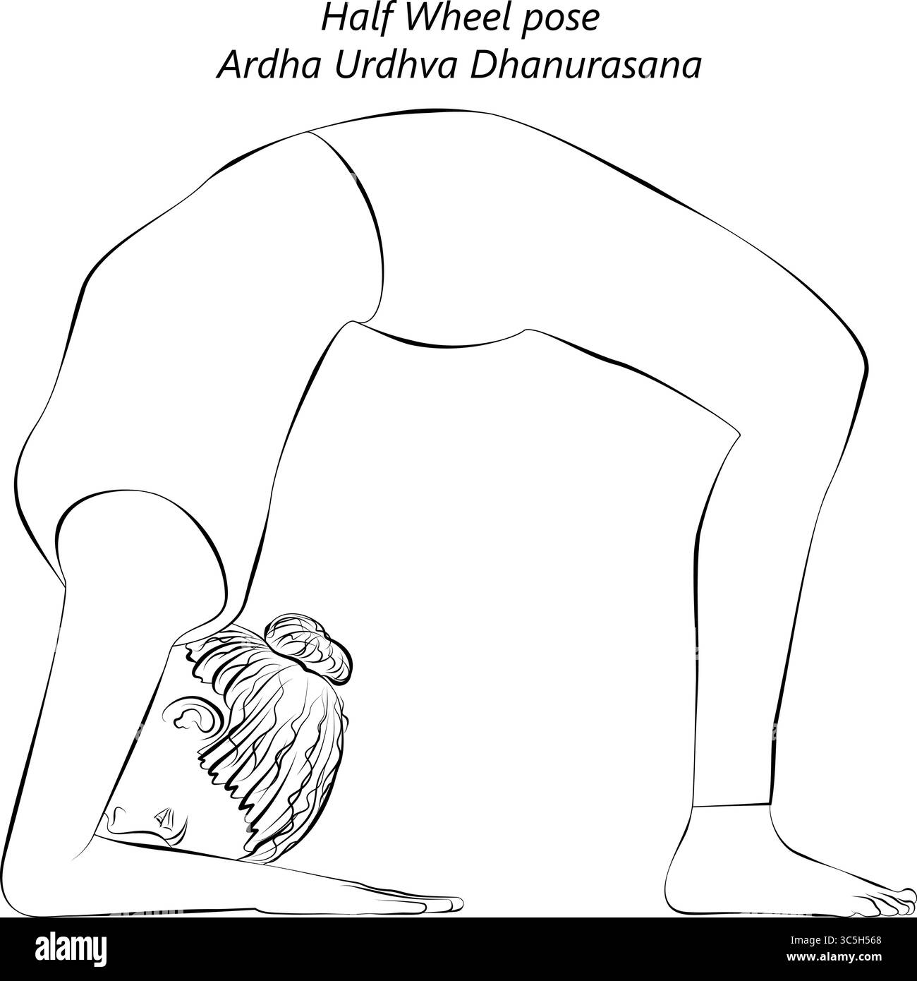 Sketch of young woman practicing Ardha Urdhva Dhanurasana yoga pose ...