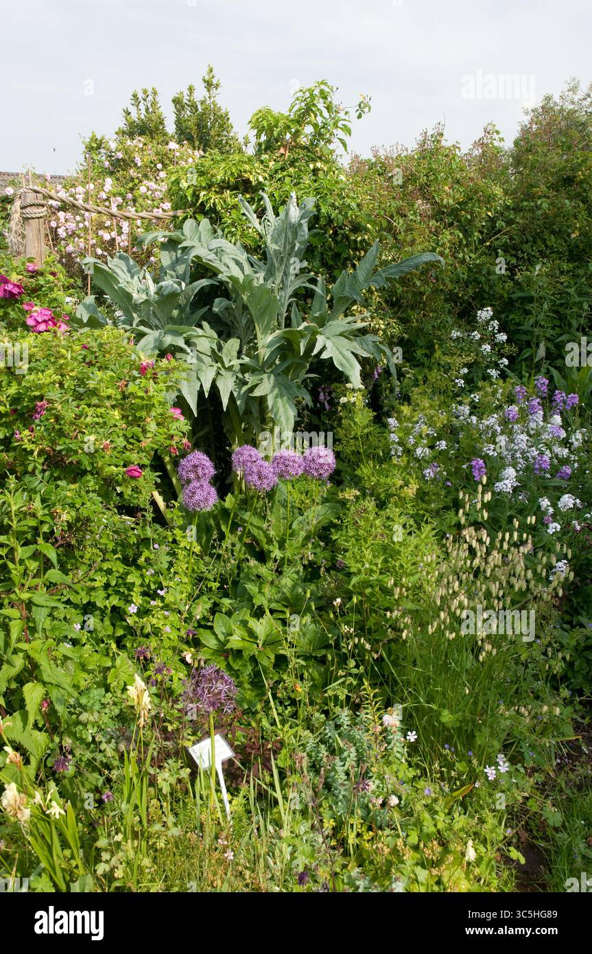 Tranquil garden atmosphere variety hi-res stock photography and images ...