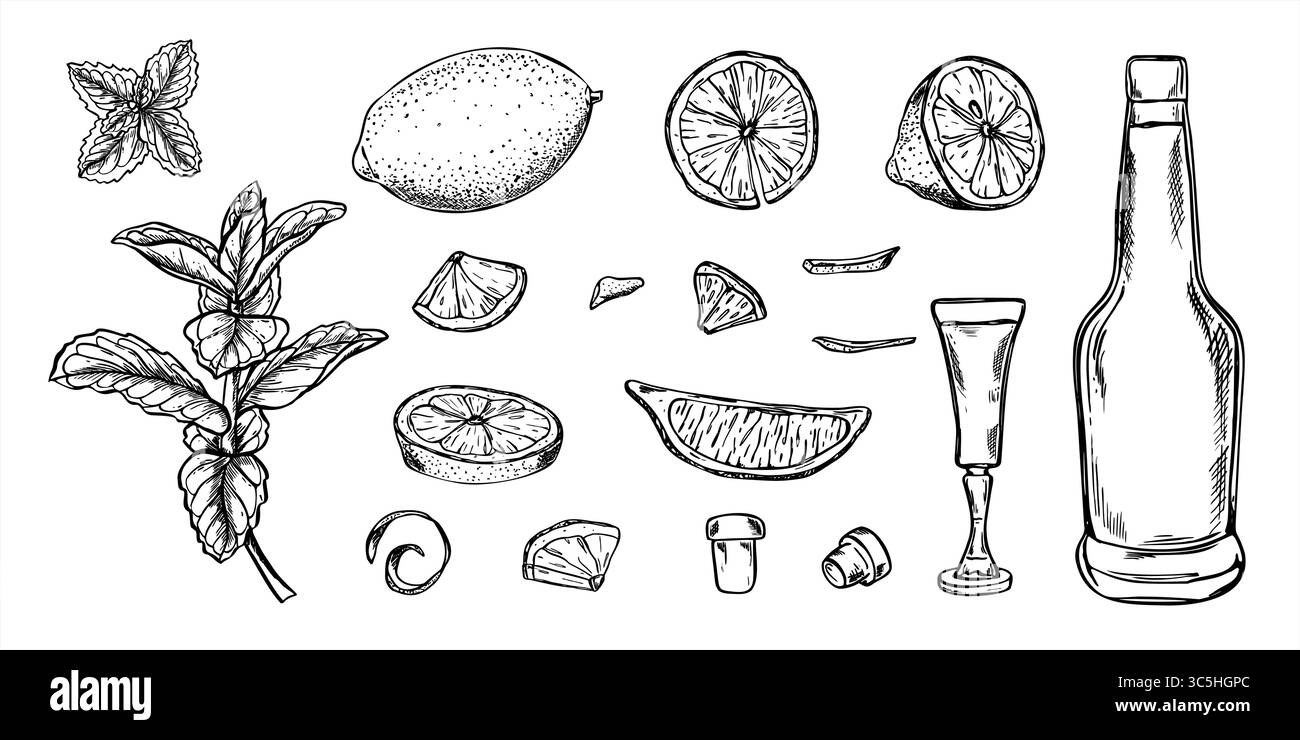 Monochrome lemons, mint leaves, open bottle with cork, and stemmed shot glass vector isolated ...