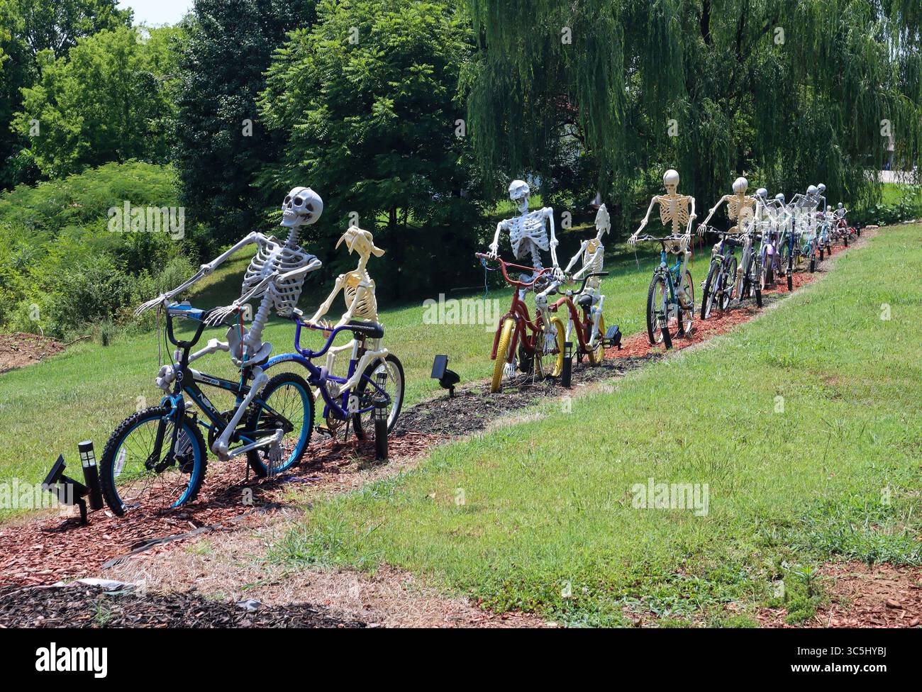 The Bone Yard in Loudon, Tennessee features skeletons of all sizes ...