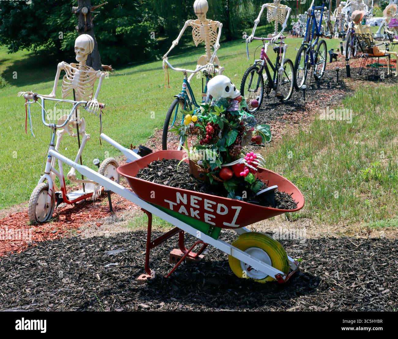 The Bone Yard in Loudon, Tennessee features skeletons of all sizes ...