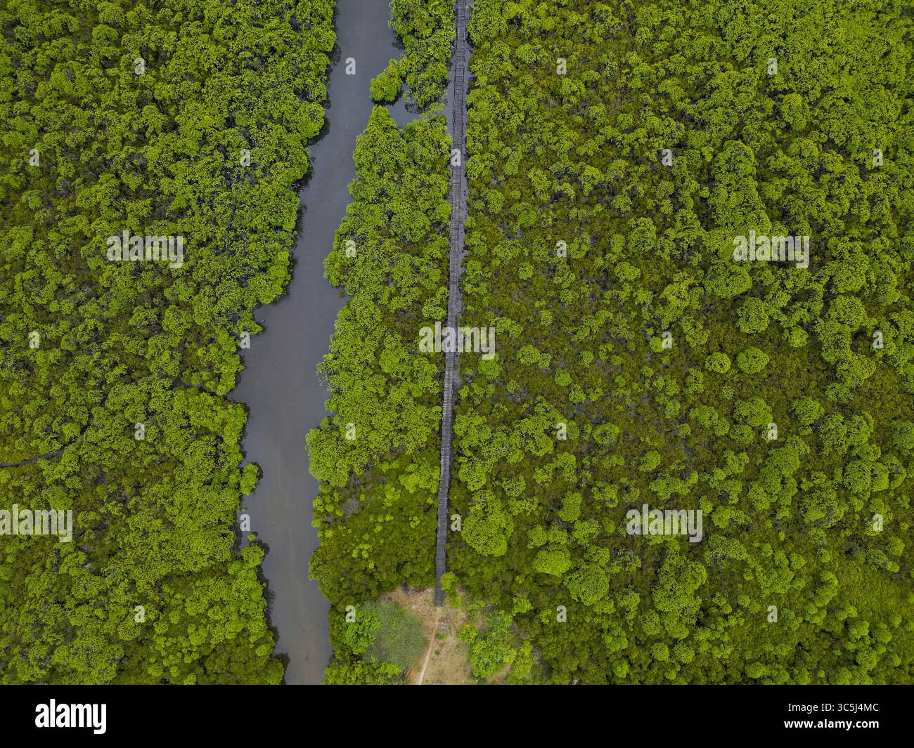 Aerial view of a narrow waterway cutting through a dense, vibrant green ...