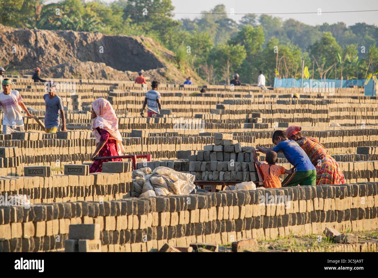 November,26,2023-Bangladesh,Cumilla-Bangladesh workers making brick ...
