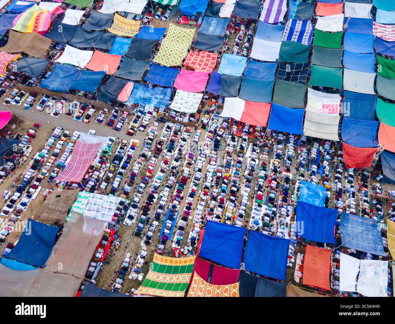 Aerial view of a vast gathering, shadows stretching long under ...