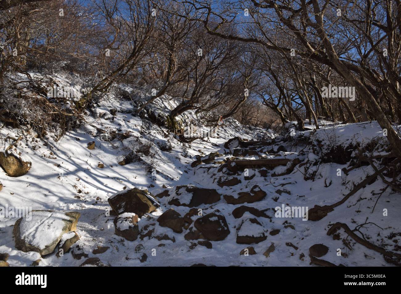 Great view in southern kyushu hi-res stock photography and images - Alamy