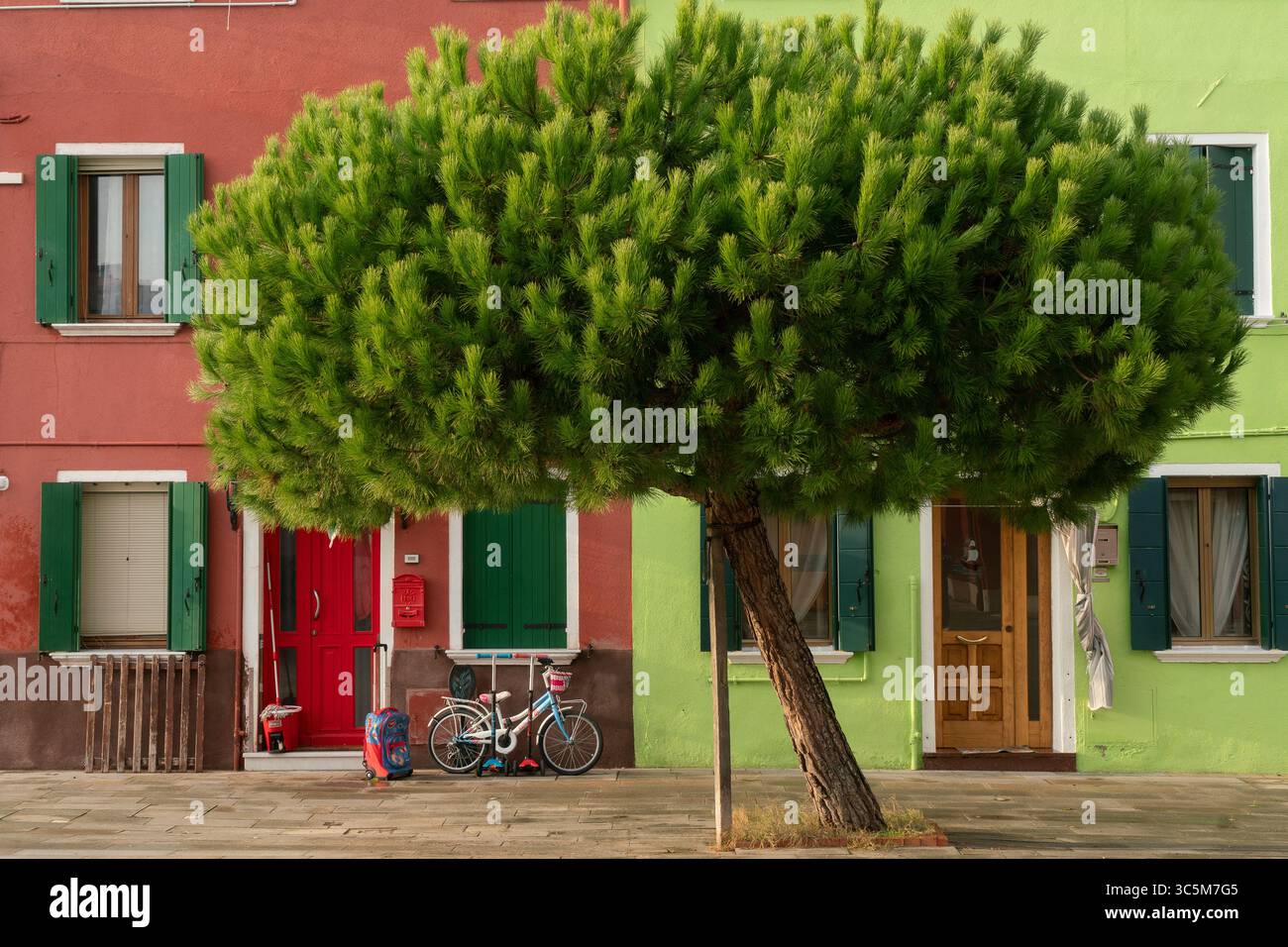 View lush rounded tree hi-res stock photography and images - Alamy