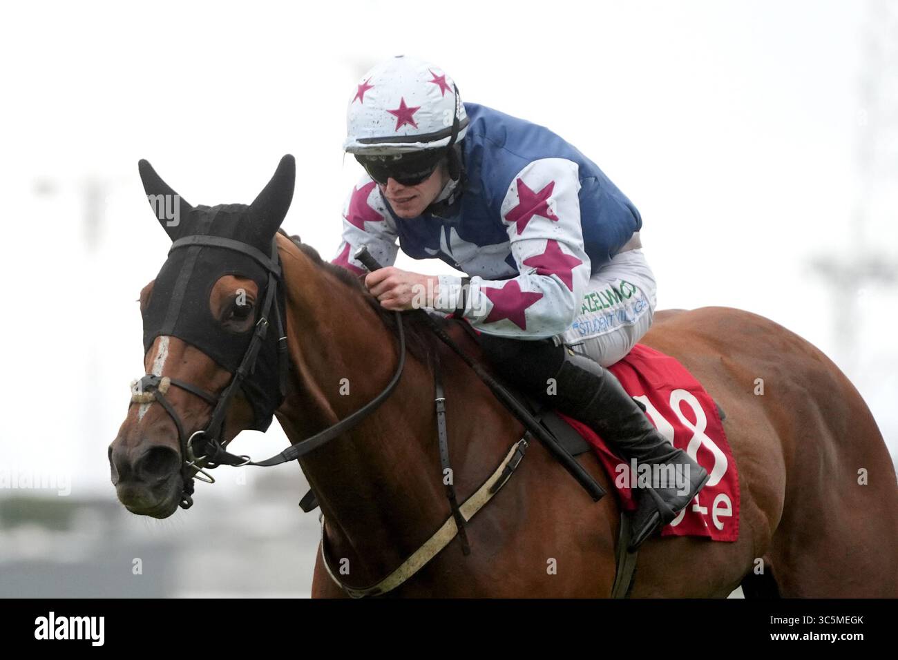 Cleopatra's Needle ridden by Patrick M O'Brien on their way to winning ...