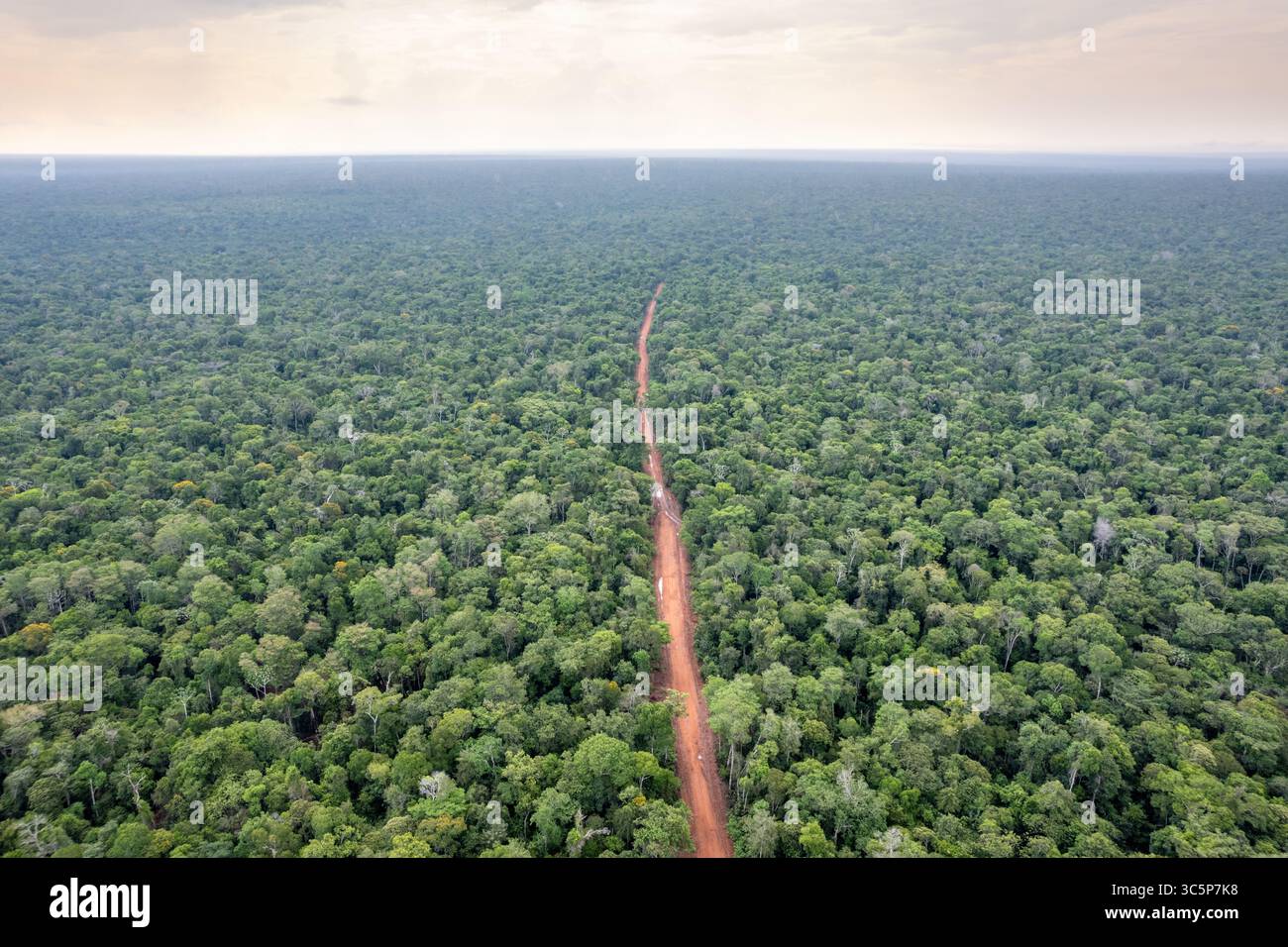 Beautiful Amazon rainforest trees and dirty road aerial drone view in ...