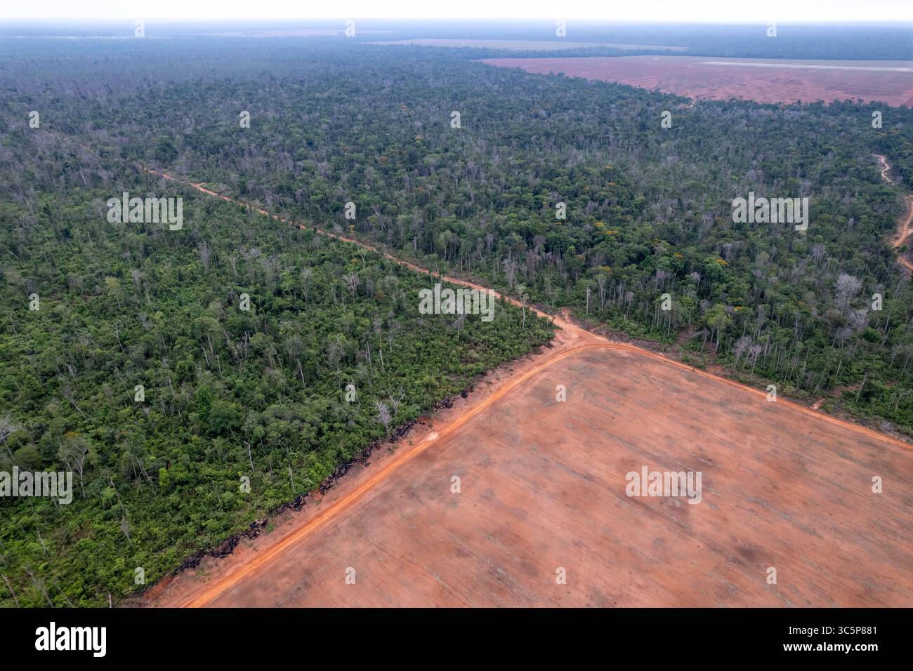 Illegal amazon deforestation drone panoramic aerial view, Mato Grosso ...