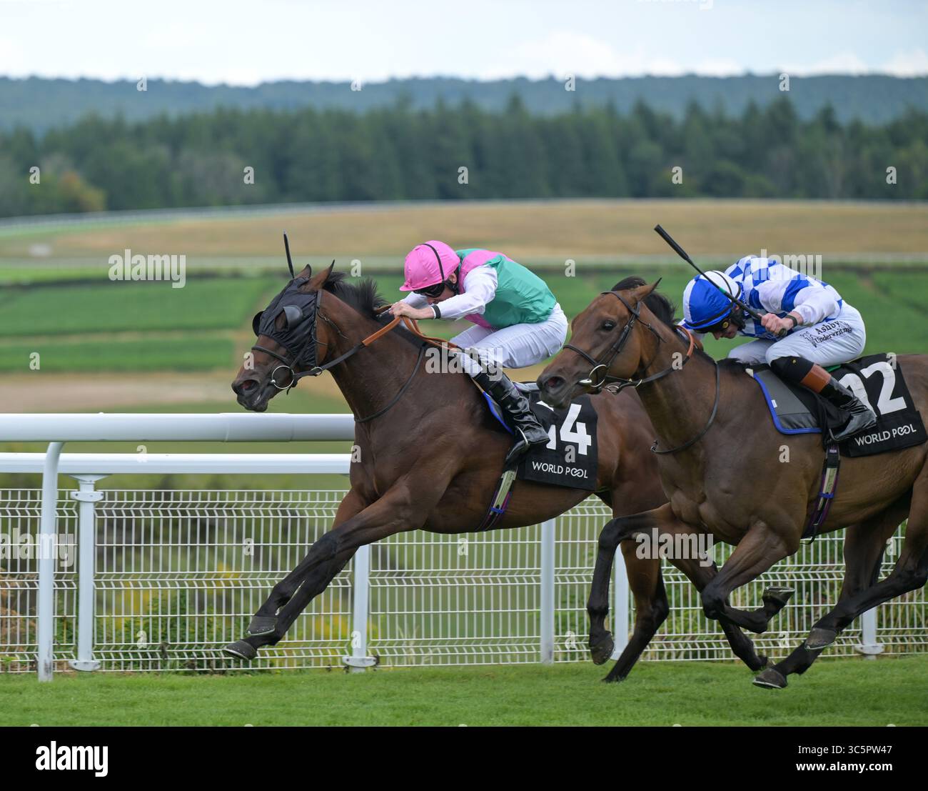 Goodwood, UK. 29 July, 2025. A dead heat between Saqqara Sands ridden ...