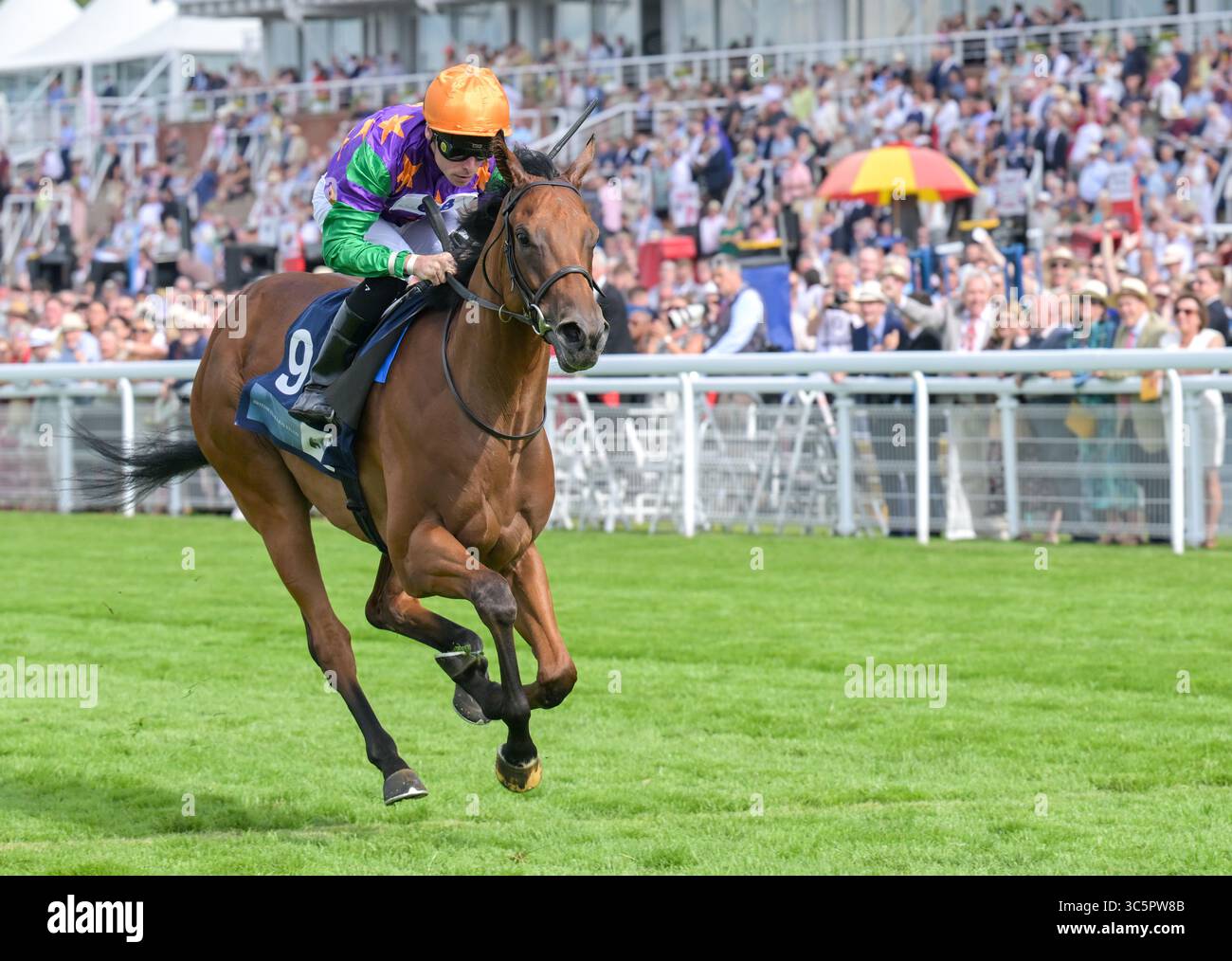 Goodwood, UK. 29 July, 2025. Spicy Marg ridden by K Shoemark and ...