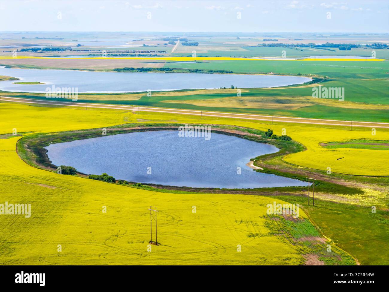 Aerial panorama golden canola hi-res stock photography and images - Alamy