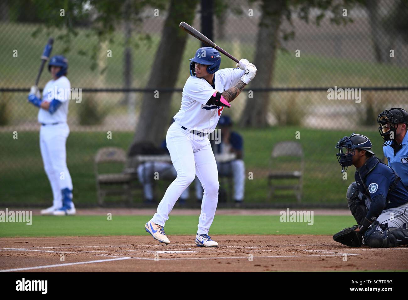 Ching-Hsien Ko (29) of the ACL Dodgers at bat during an Arizona Complex ...