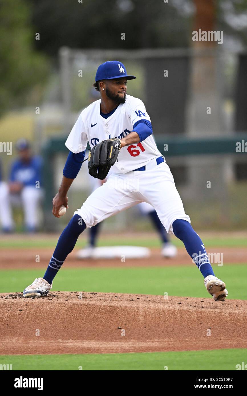 ACL Dodgers starting pitcher Marlon Nieves (61) delivers a pitch during ...