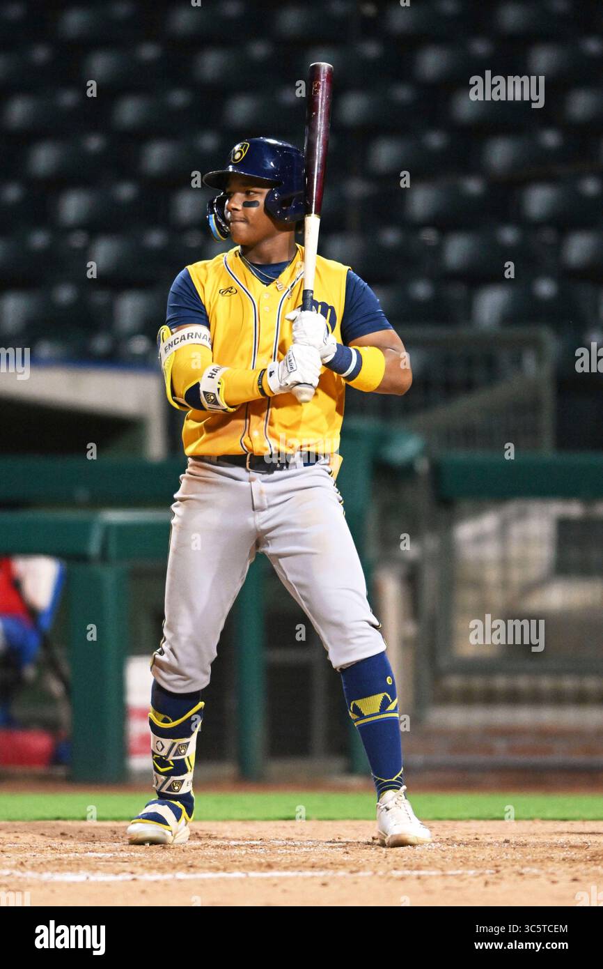 Handelfry Encarnacion (9) of the ACL Milwaukee Brewers at bat during an ...