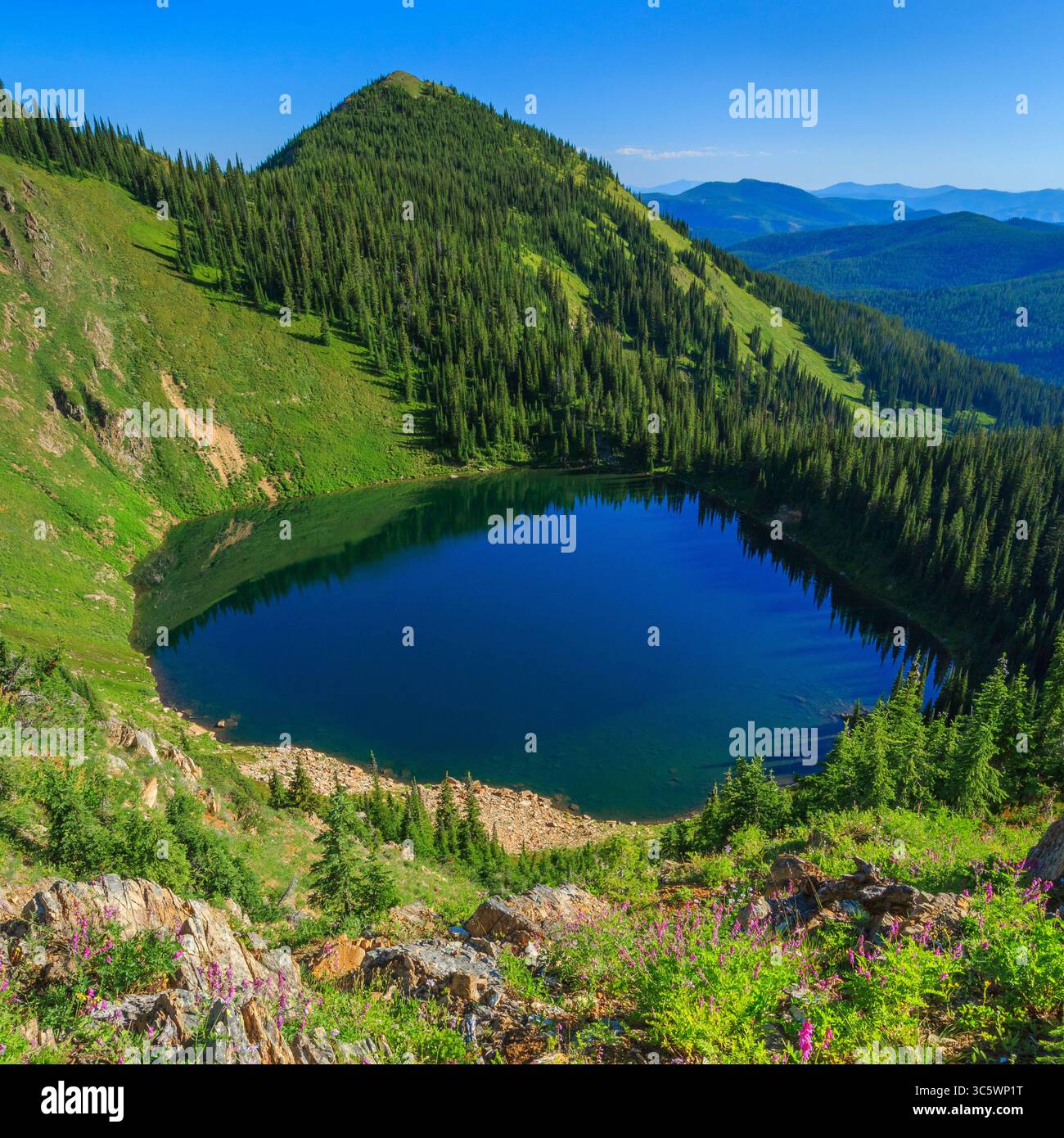 Oregon trail hi-res stock photography and images - Alamy