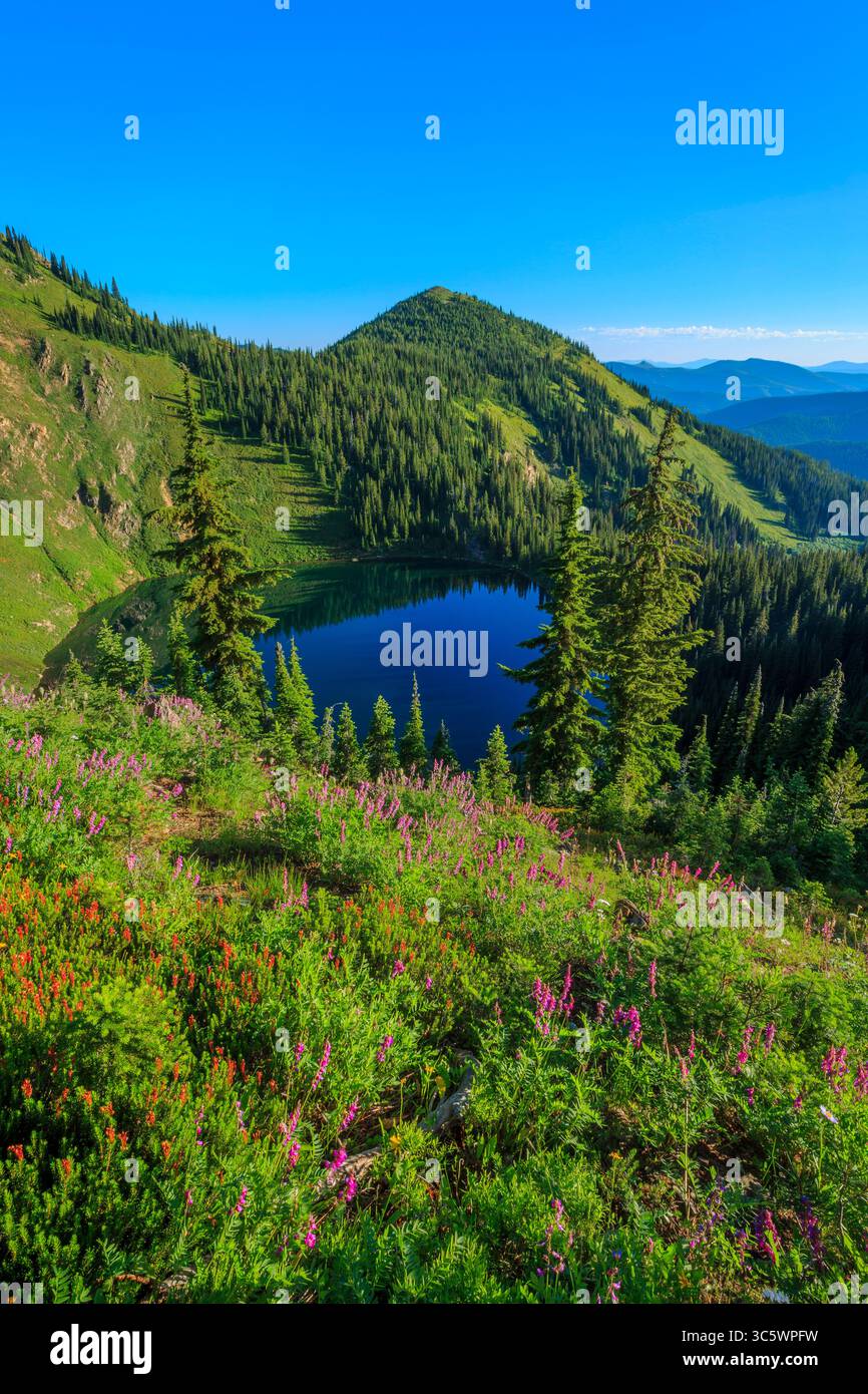 Oregon trail hi-res stock photography and images - Alamy