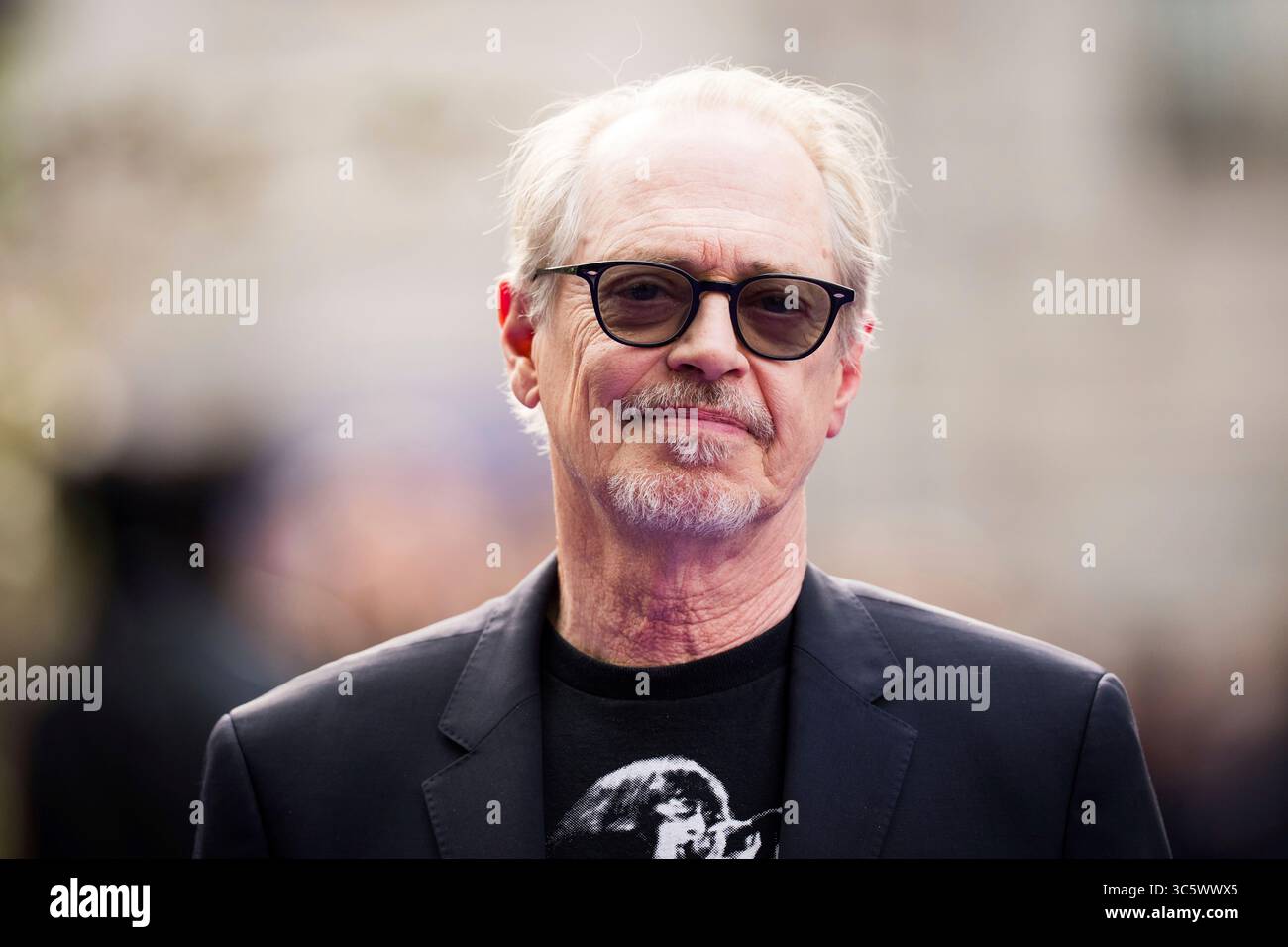 Steve Buscemi poses for photographers upon arrival at the season two ...