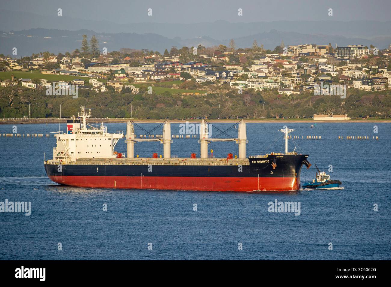 ES Dignity is a bulk carrier built in 2014 by Saiki Heavy Industries ...