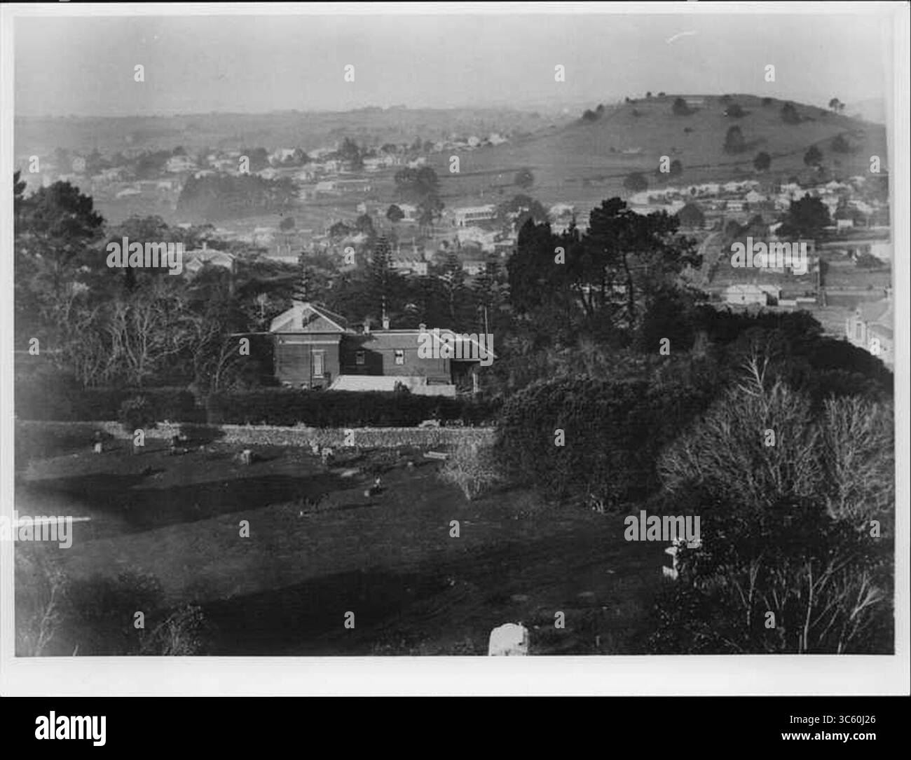 Mt. Hobson and Remuera - Espom from Mt. Eden, 56141-a Stock Photo - Alamy