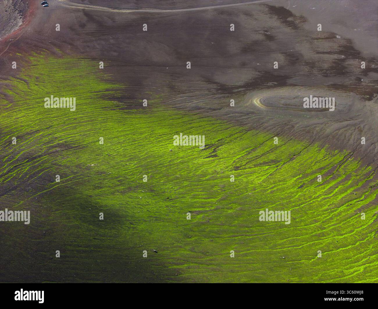Aerial view stark moss hi-res stock photography and images - Alamy