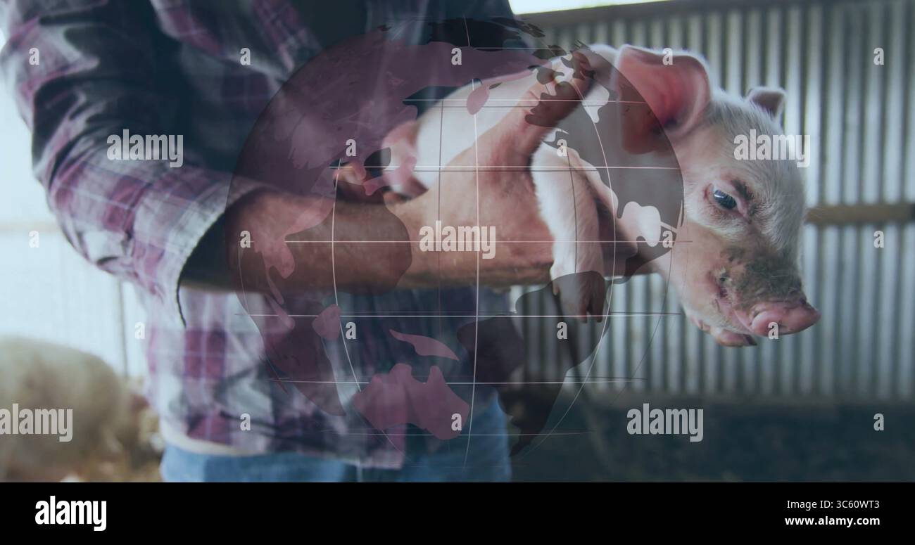 Holding farmer wearing plaid shirt and jeans hugging piglet in straw ...