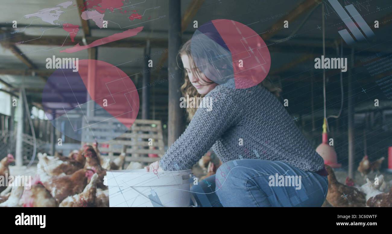 Worker feed chickens poultry hi-res stock photography and images - Alamy
