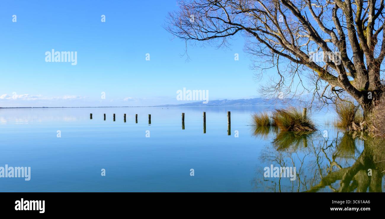 Still reflections and minimalist landscape views of Lake Ellesmere / Te ...