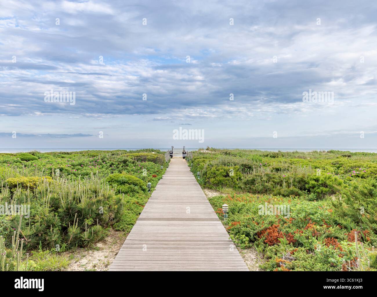 natural landscape in front of the surf club in montauk Stock Photo - Alamy
