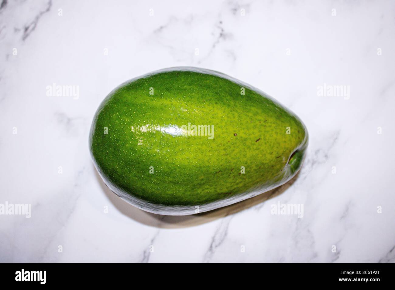 Avocado also known as the Alligator Pear or Butter Fruit Stock Photo ...