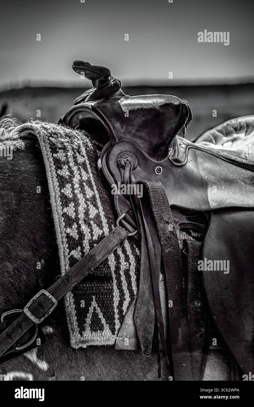 Mirror lake saddle room hi-res stock photography and images - Alamy