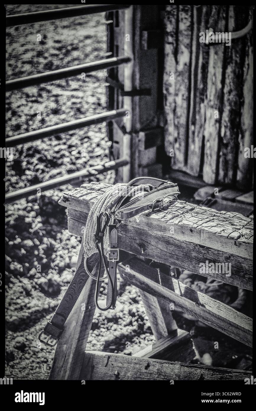 Idle cowboy gear hi-res stock photography and images - Alamy