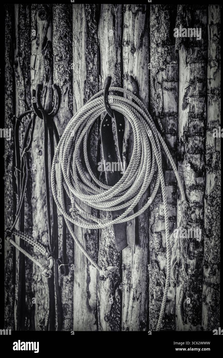 Hanging lasso wyoming hi-res stock photography and images - Alamy