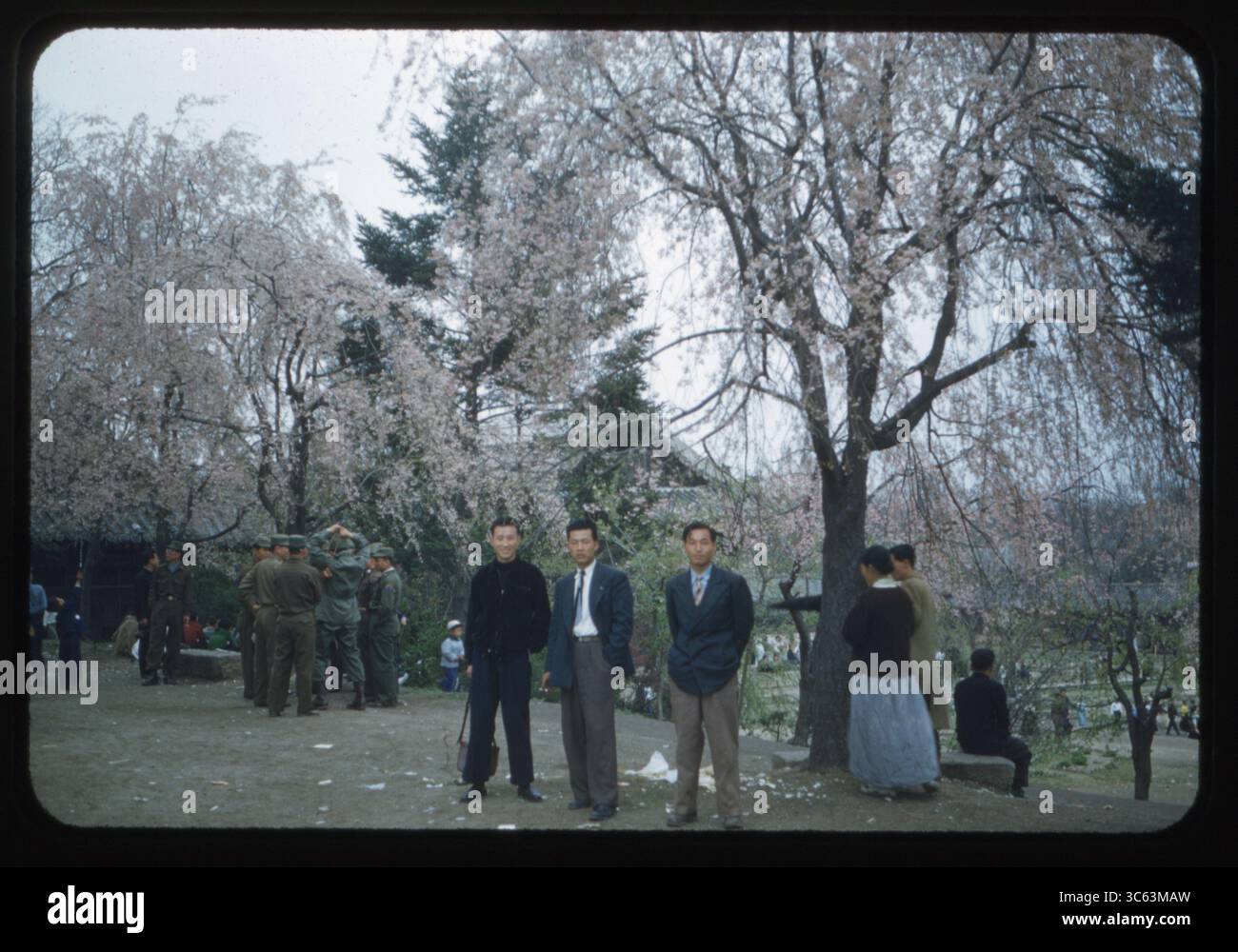 Korea 1950s three soldiers hi-res stock photography and images - Alamy