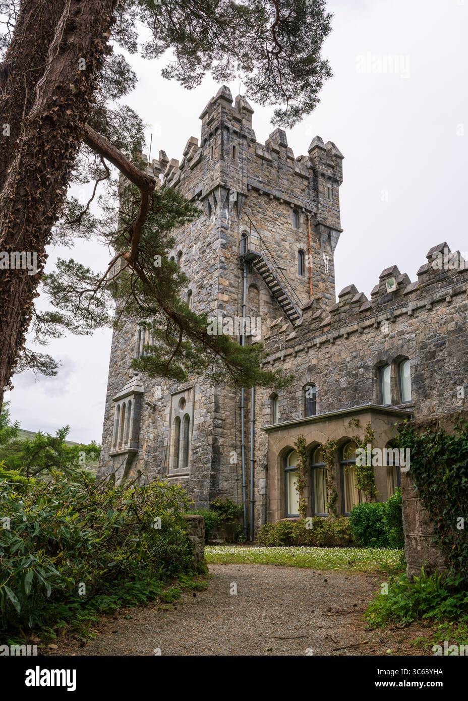 Stone tower and battlements of Glenveagh Castle with a Scots pine tree ...