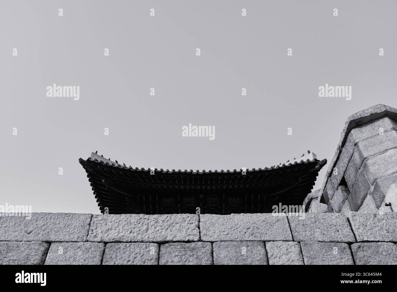 detail of the shadow on the granite-covered roof, Heunginjimun, seoul ...