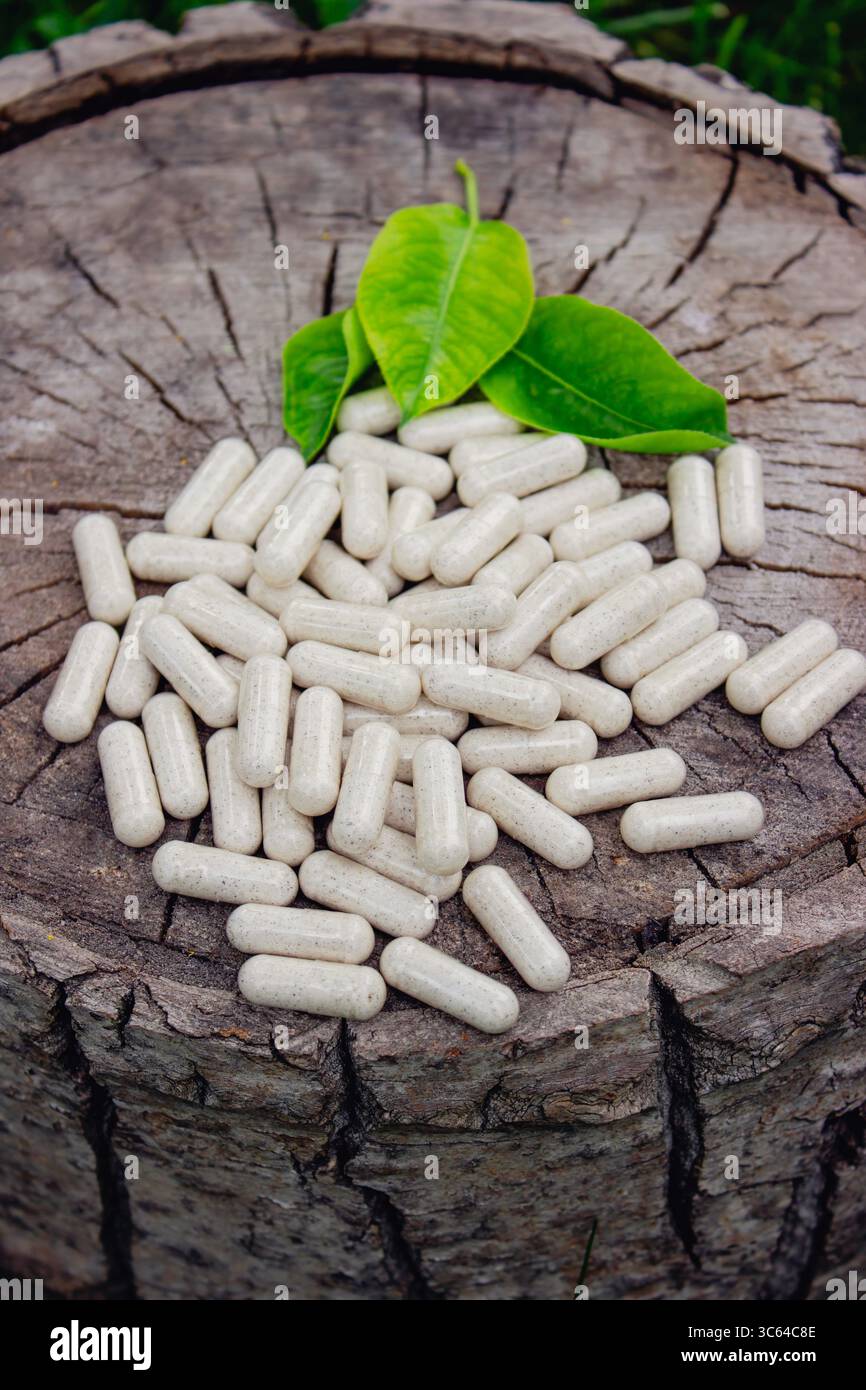 Herbal medicine in capsules with herb leaves on wooden stump Stock ...