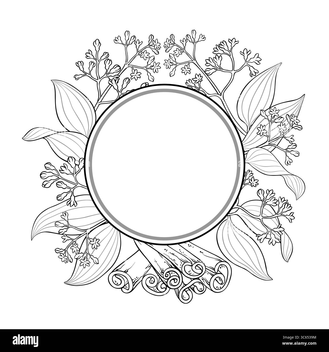 Cinnamon Branch Outline Round Frame Stock Vector Image & Art - Alamy