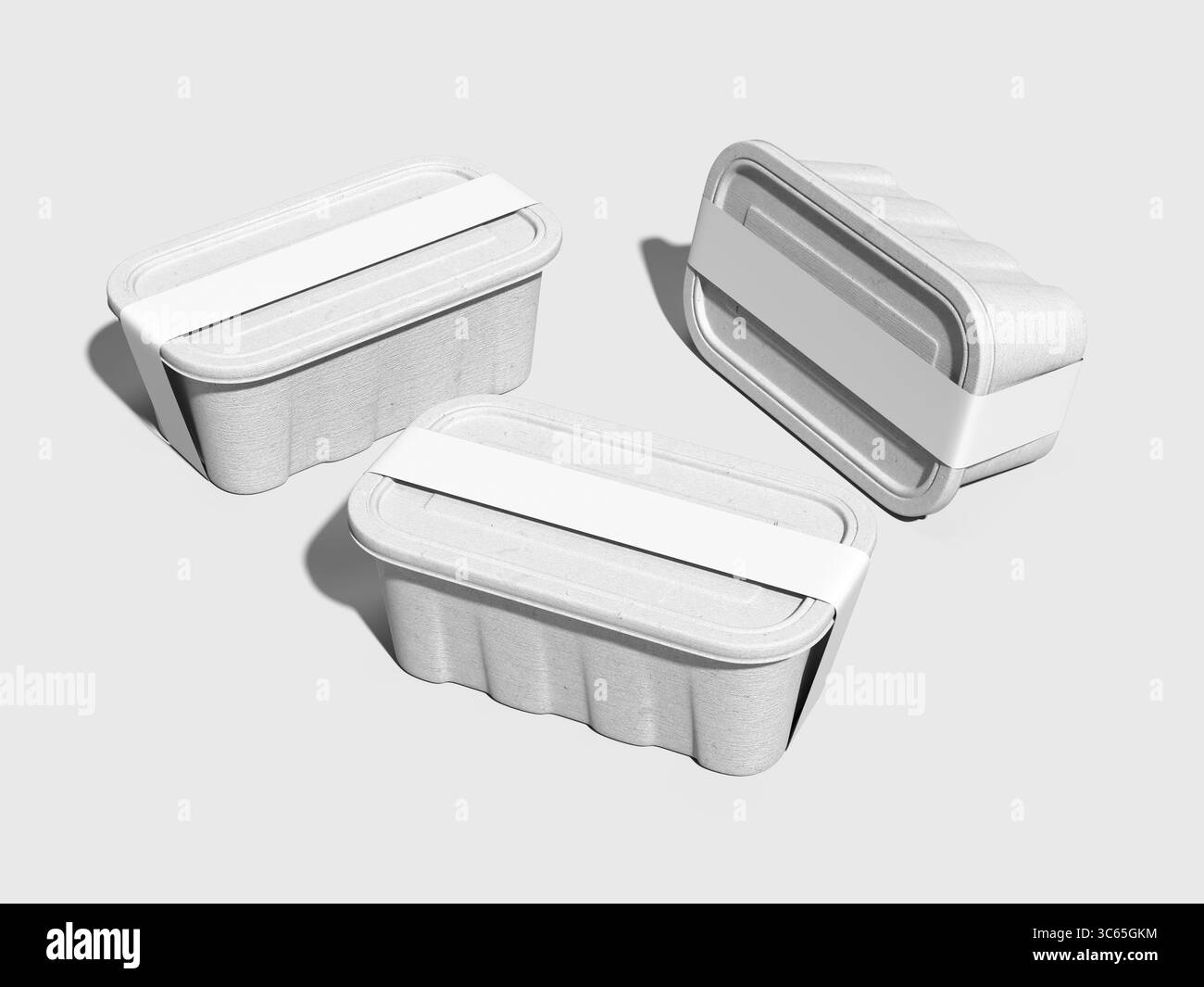 Rectangular Food Packaging Mockup Stock Photo - Alamy