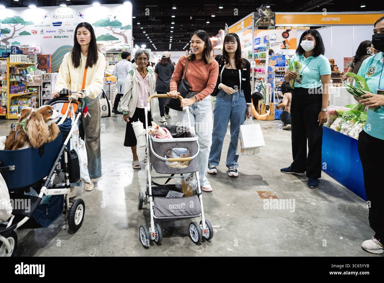 Pet owners push strollers carrying their dogs and cats through the ...