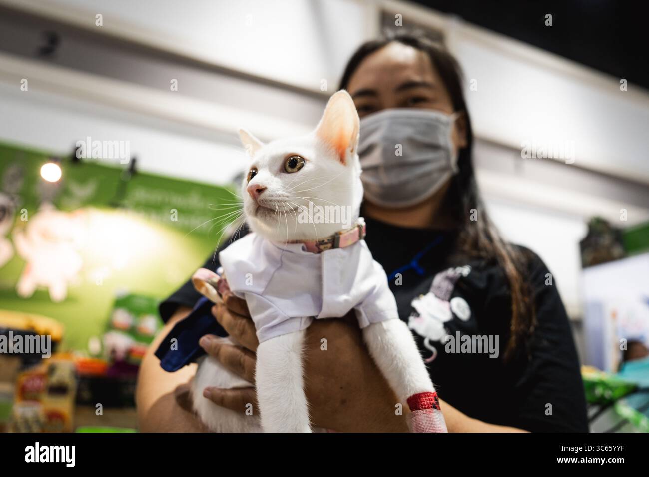 A cat dressed in a tiny white shirt is proudly held by its owner at the ...