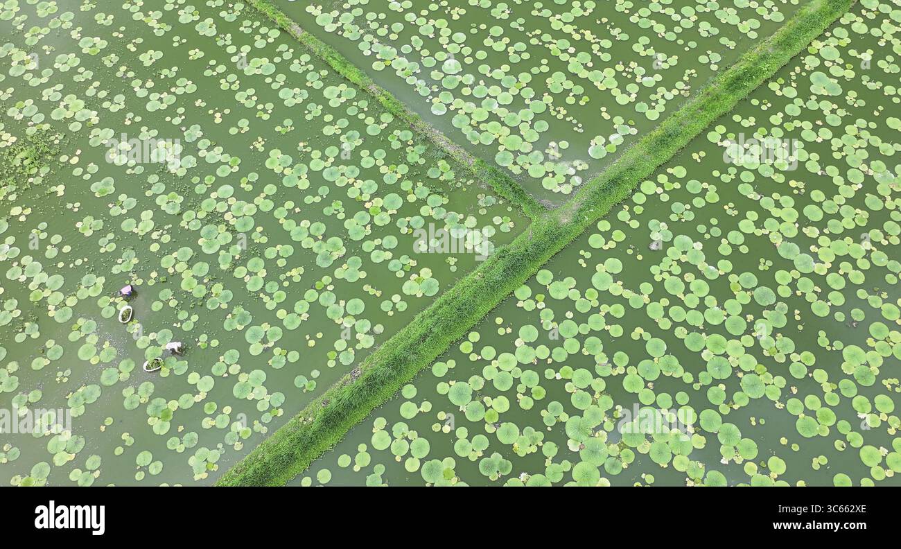 Aerial photo shows farmers working in the field in Huai'an City, east ...